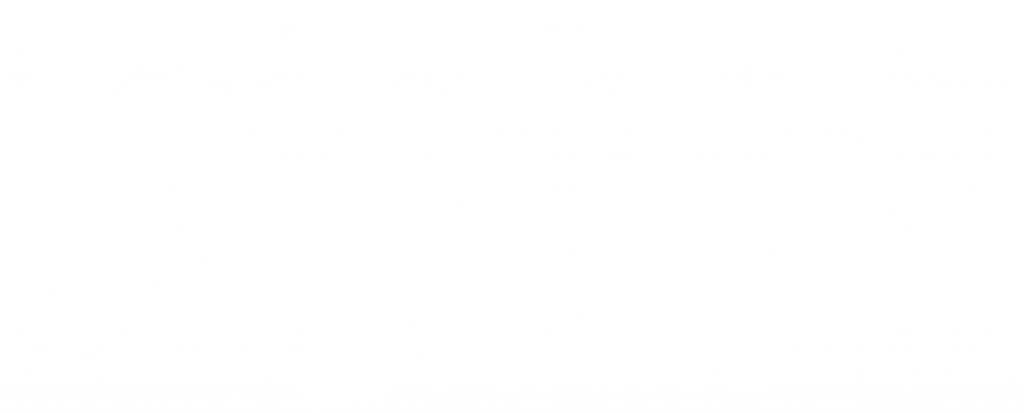 Services – Sea Lion